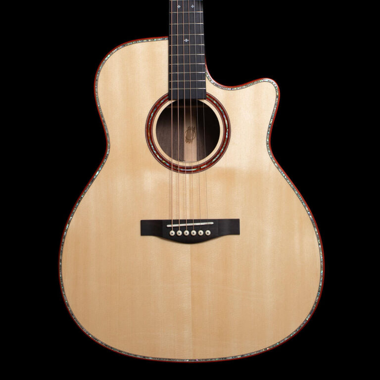 Guitar IGS – Premium acoustic / classical guitar shop Fine guitar ...