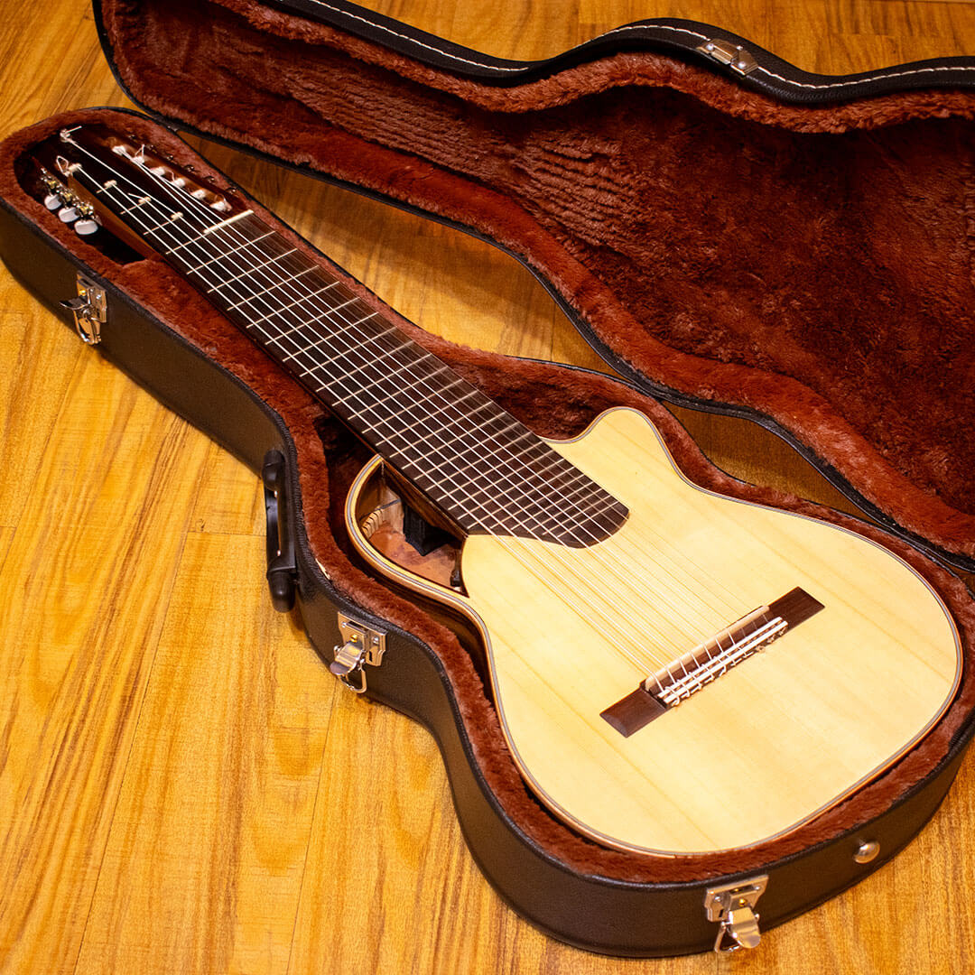 IGS 10 Strings (V2) – Premium acoustic / classical guitar shop Fine ...
